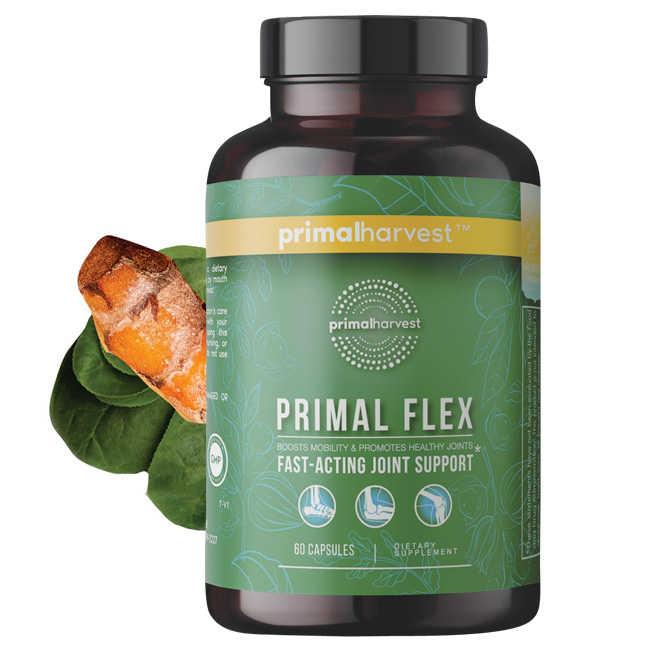 Primal Flex – The premier edit-style marketing agency seen in top magazines