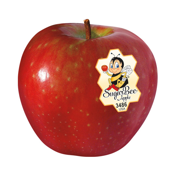 Sugarbee Apple – The premier edit-style marketing agency seen in top ...